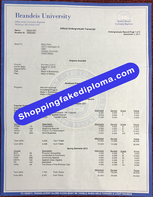 The Story of Success: Analyzing the Fake Brandeis University Transcript ...